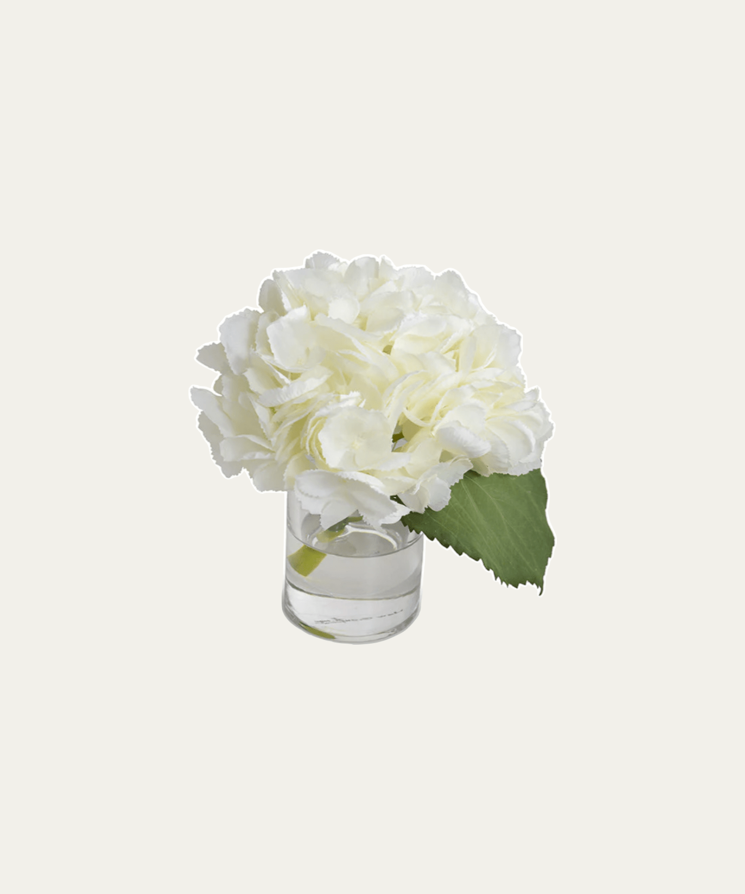 Hydrangea Cutting in Small Glass Vase – Stephenson House