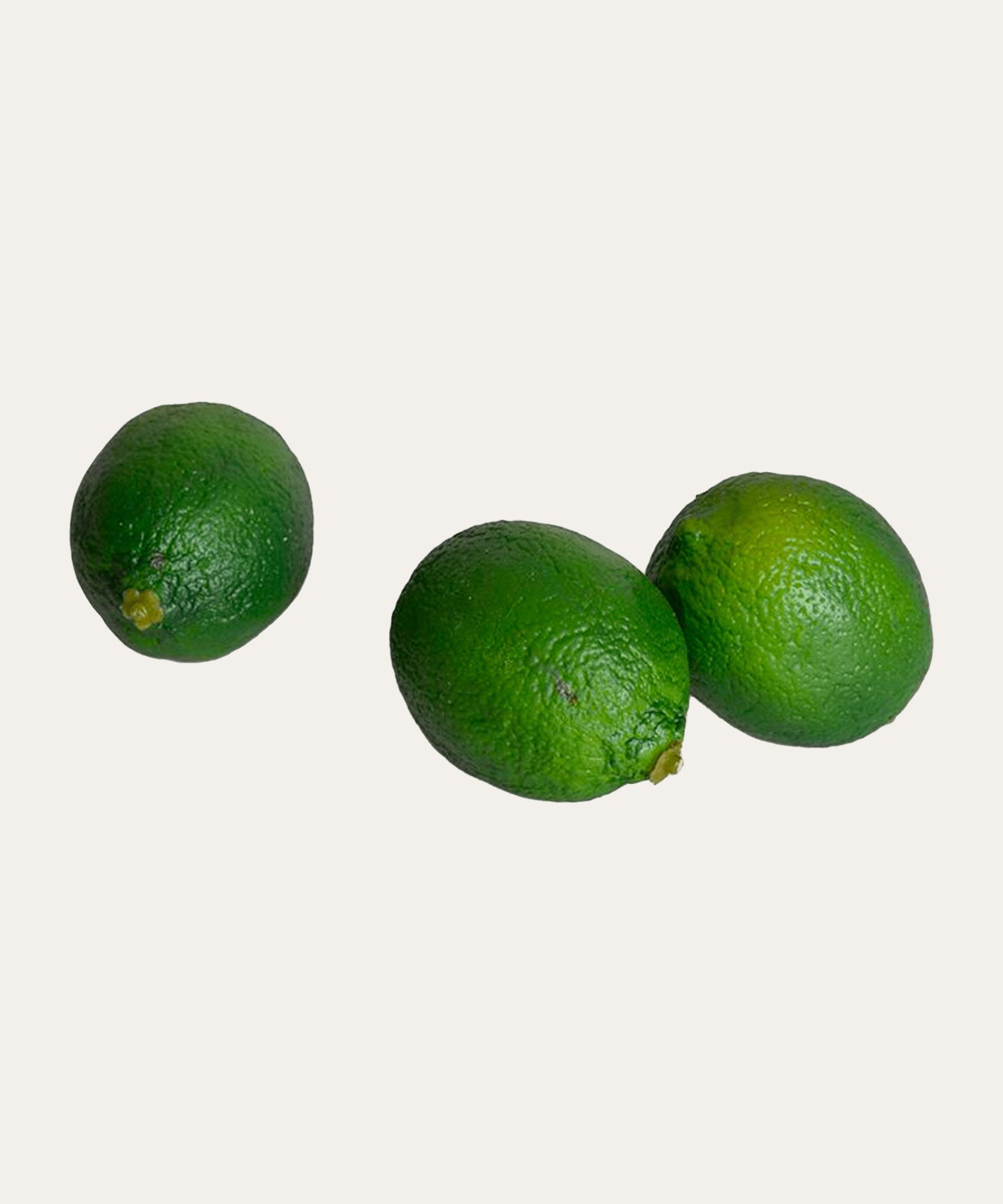 Limes – Stephenson House