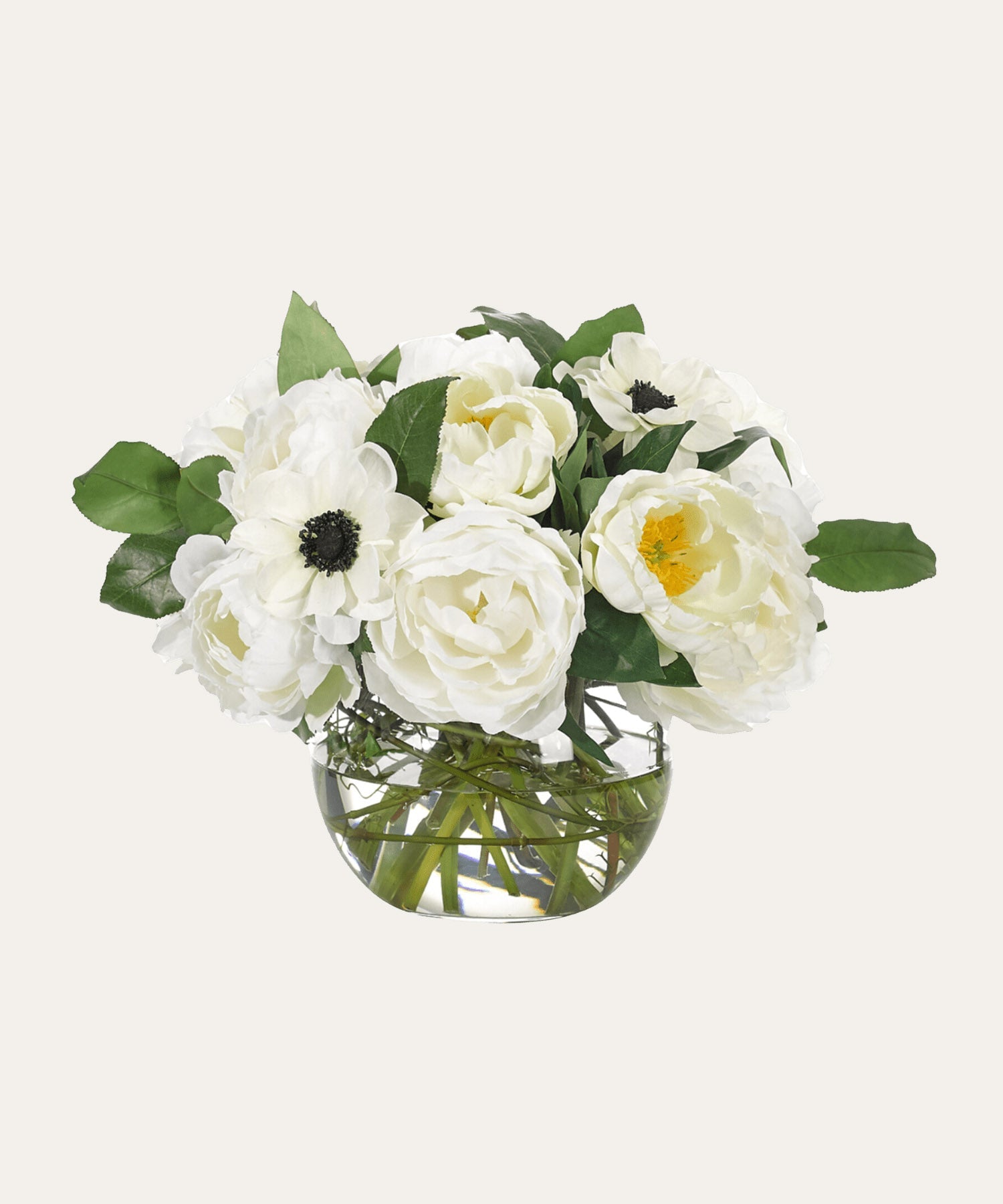 March Peony Anemone – Stephenson House
